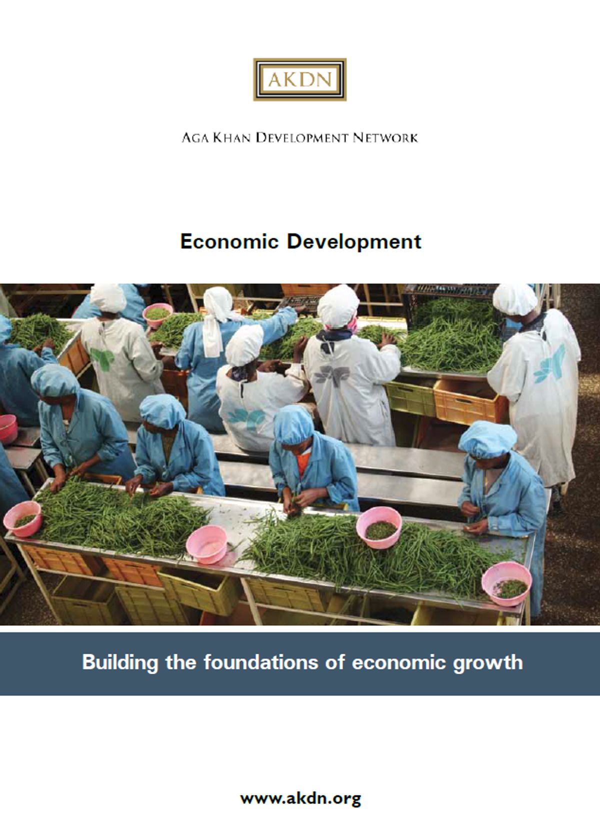 Building the foundations of economic growth - AKDN