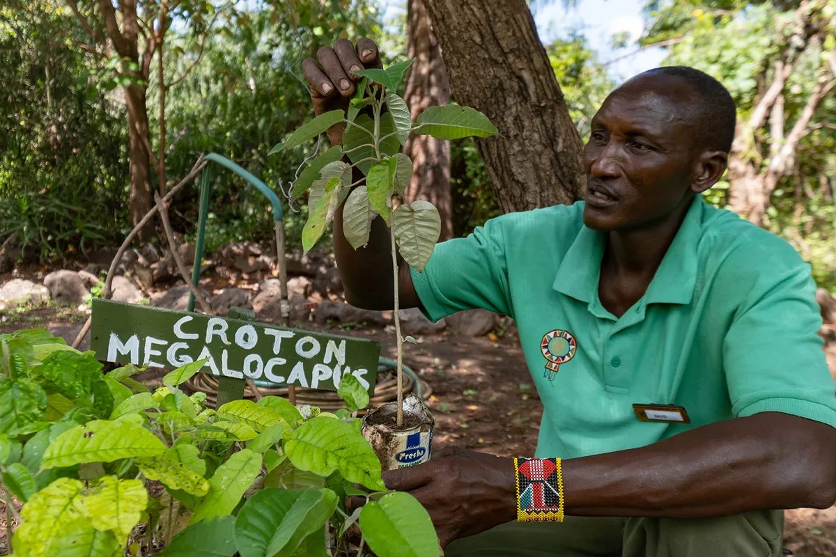AKDN interview with Michael Kocher: World Environment Day 2021
