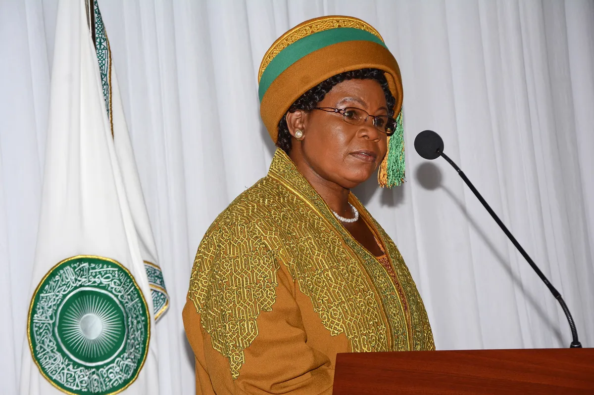 Prof. Suda calls for more public-private partnership - AKDN