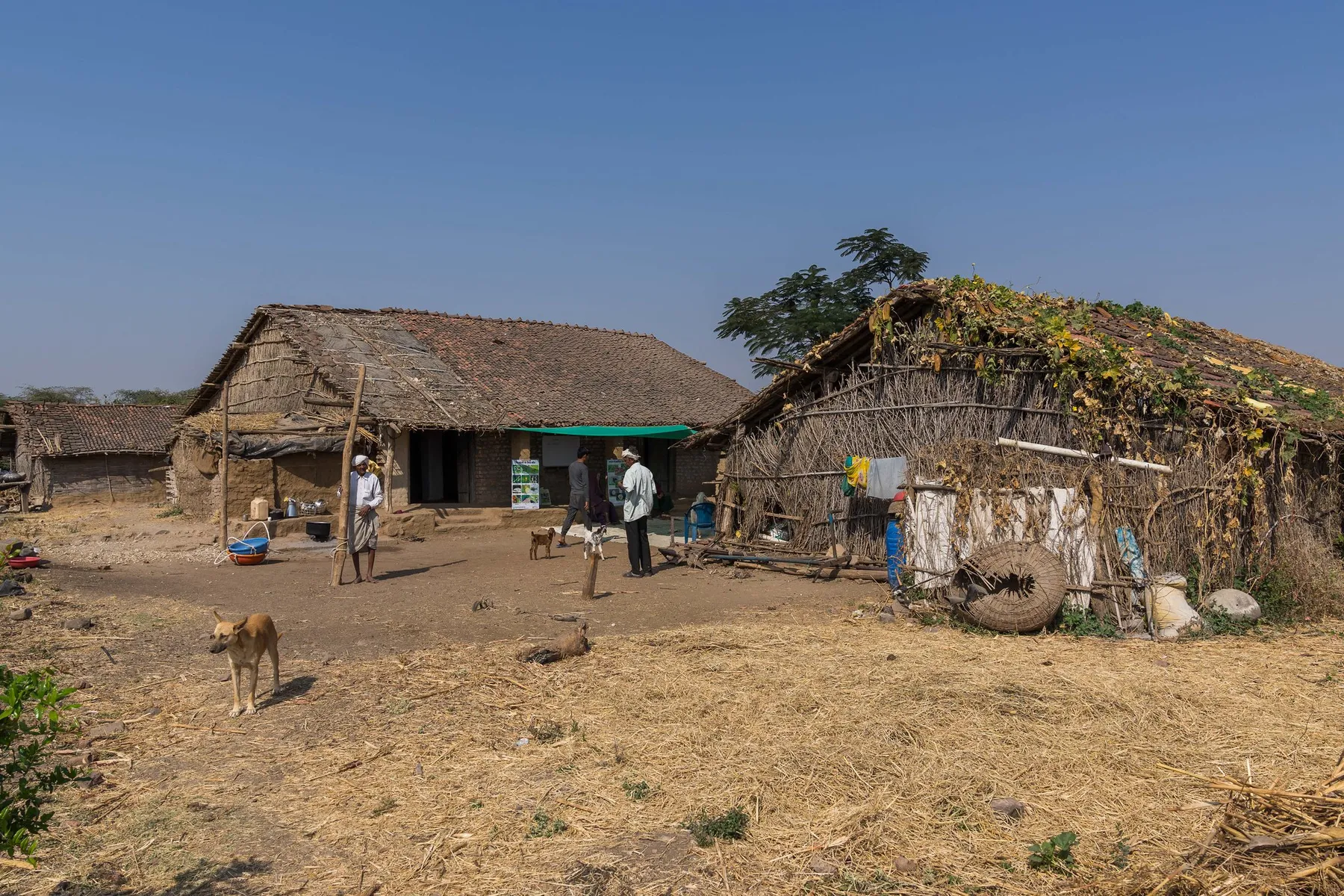 COVID-19 lockdown: 50 pc of surveyed households in rural India eating less