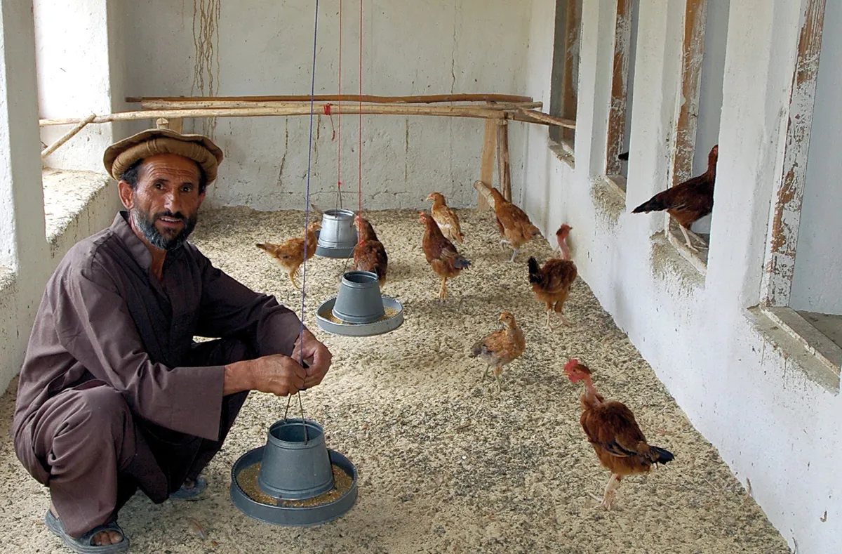 Enterprise development - AKDN