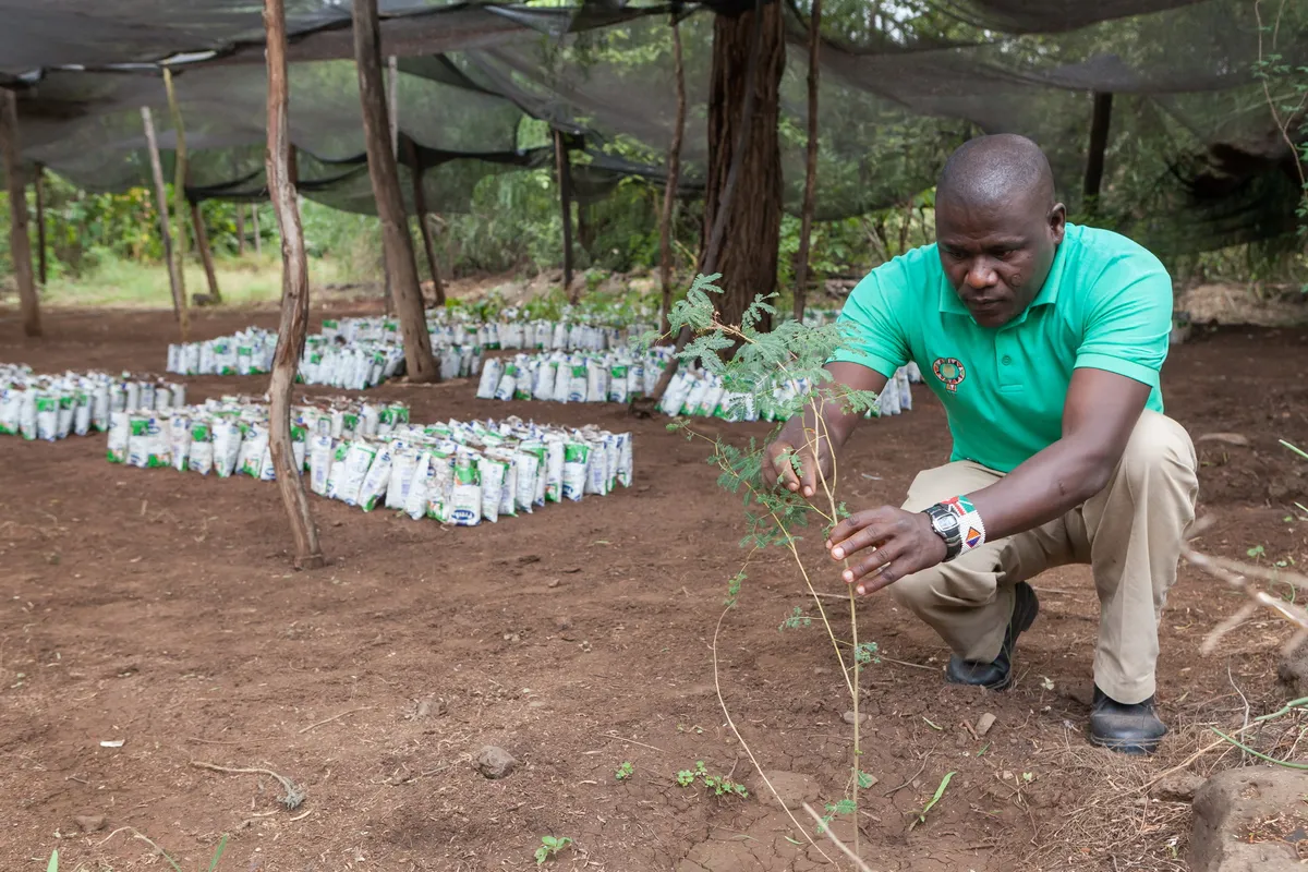 Reforestation and land reclamation - AKDN