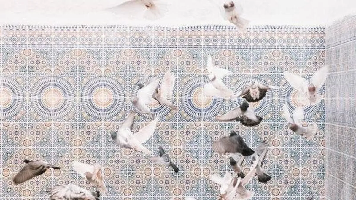 London’s Aga Khan Centre showcases Paradise in Islam - AKDN