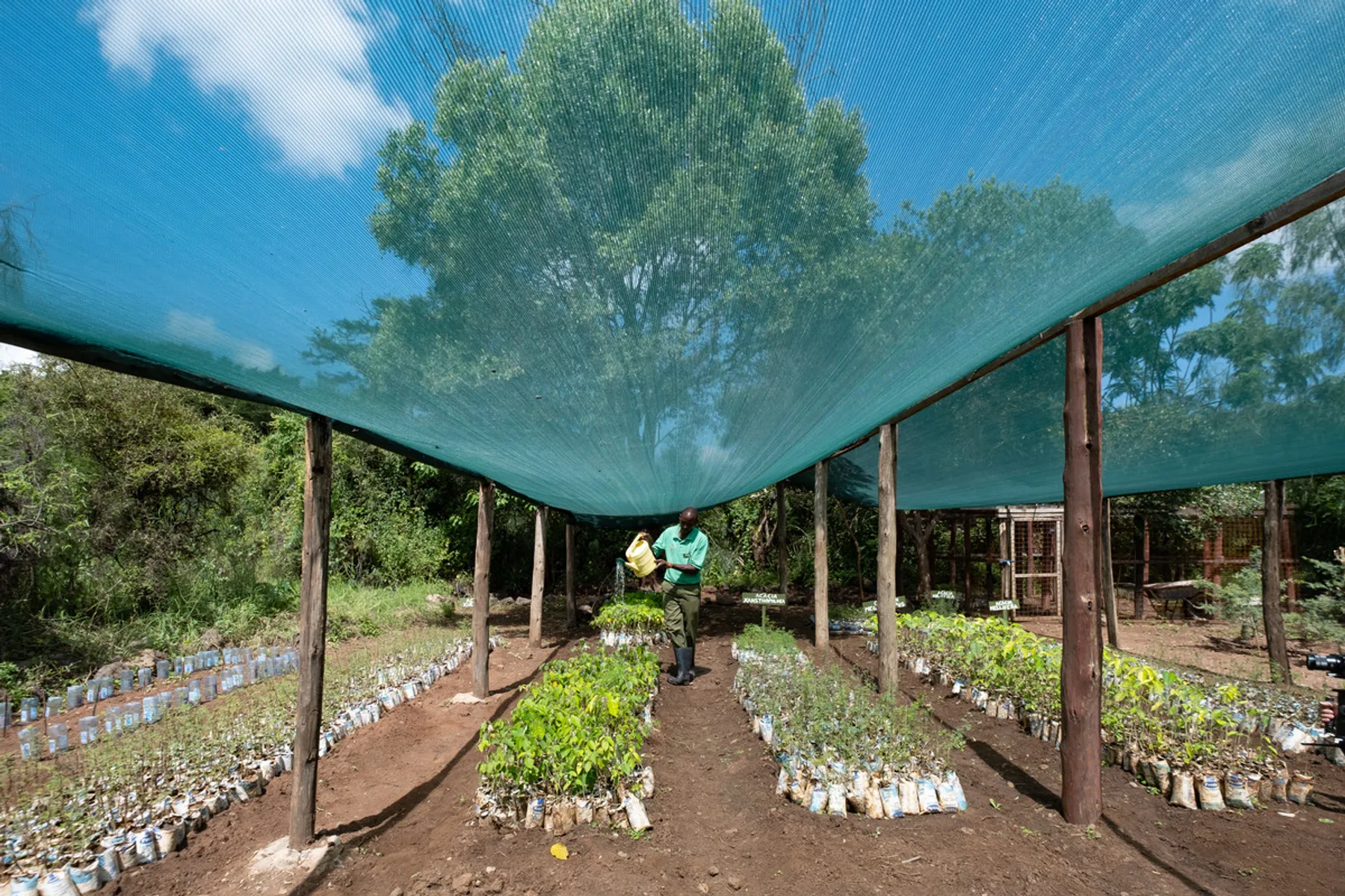 How connectivity is transforming Kenyan agriculture - AKDN
