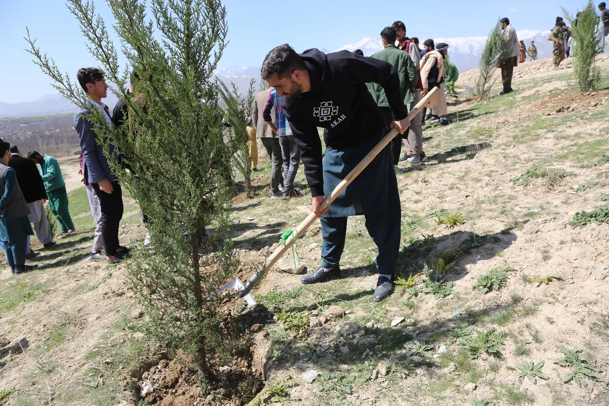 Aga Khan Agency for Habitat donates thousands more trees for a greener ...