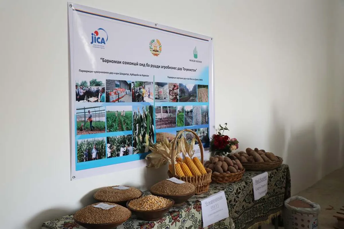 JICA and AKF support small-holder farmers through sustainable agro-business development