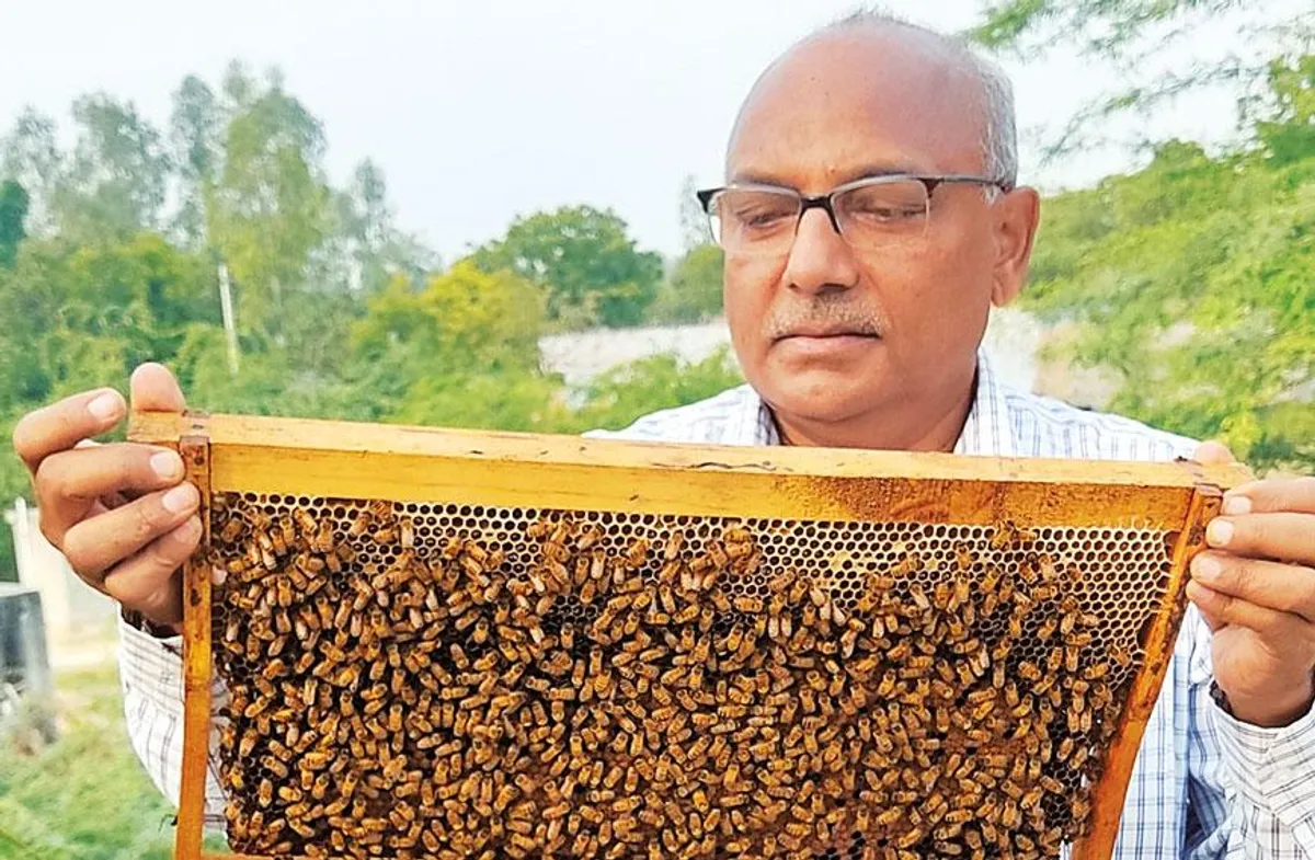 A Sunday with bees: Beekeeper shares his world - AKDN