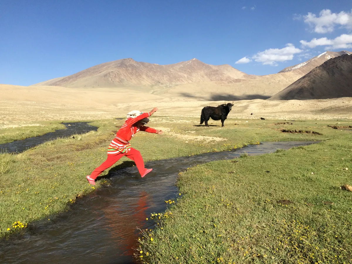 What We Do: Media - AKDN