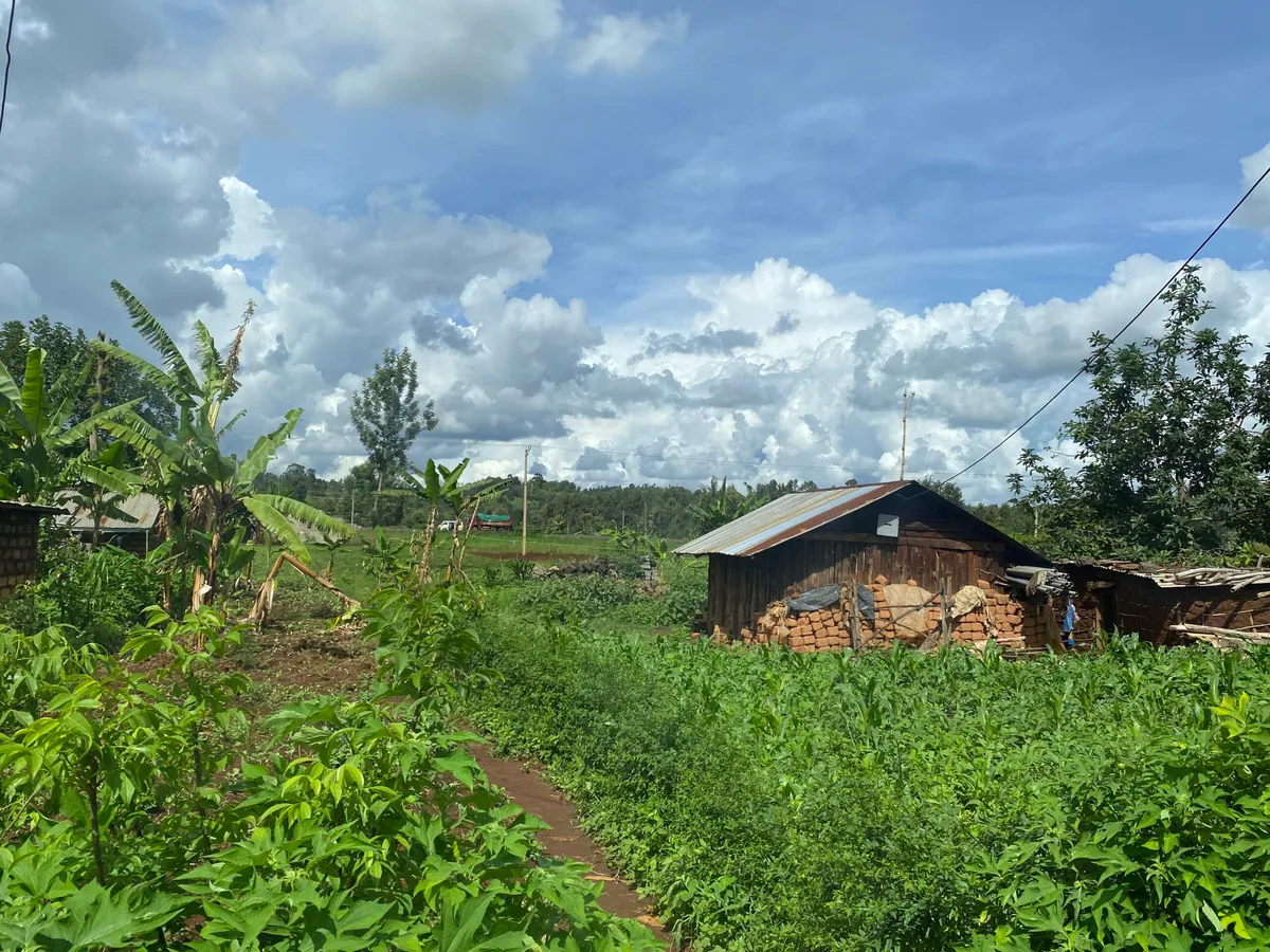 Dawa: A recipe for a sustainable future - AKDN