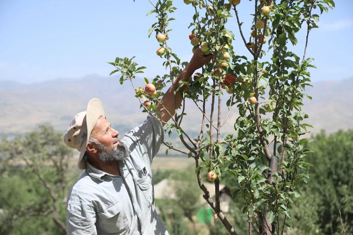 Aga Khan Foundation - AKDN