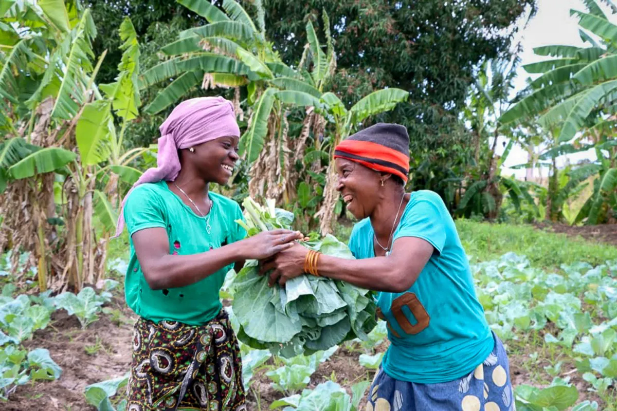 O programa 'AgroVida' da AKF visa melhorar a nutrição de 125 mil ...
